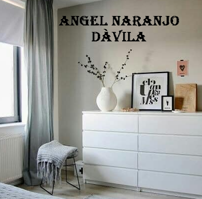 Angel Naranjo Dàvila Construcciones | Construex Ecuador
