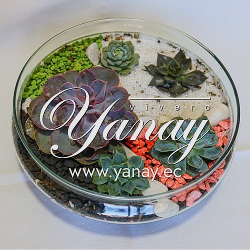 Yanay - Construex Ecuador